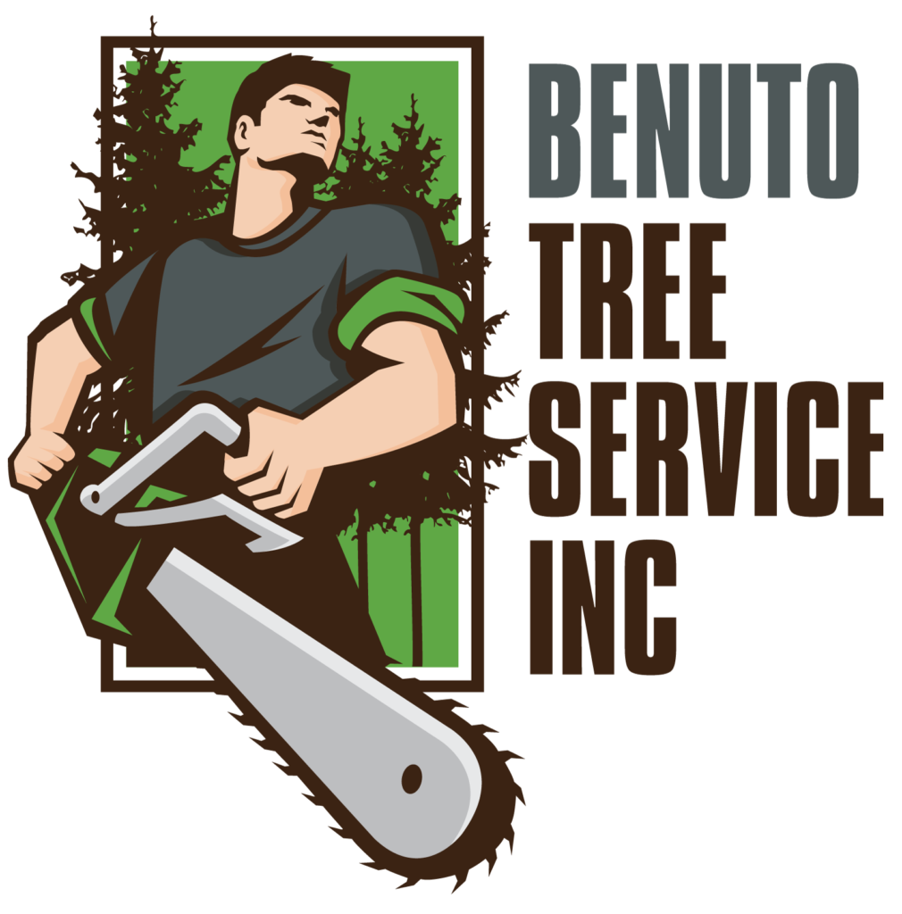 El Dorado Hills Mastication Home - Benuto Tree Service